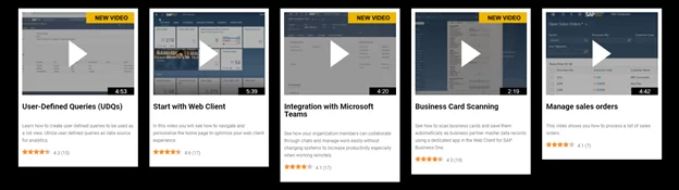 What is the Web Client for SAP Business One 10.0?